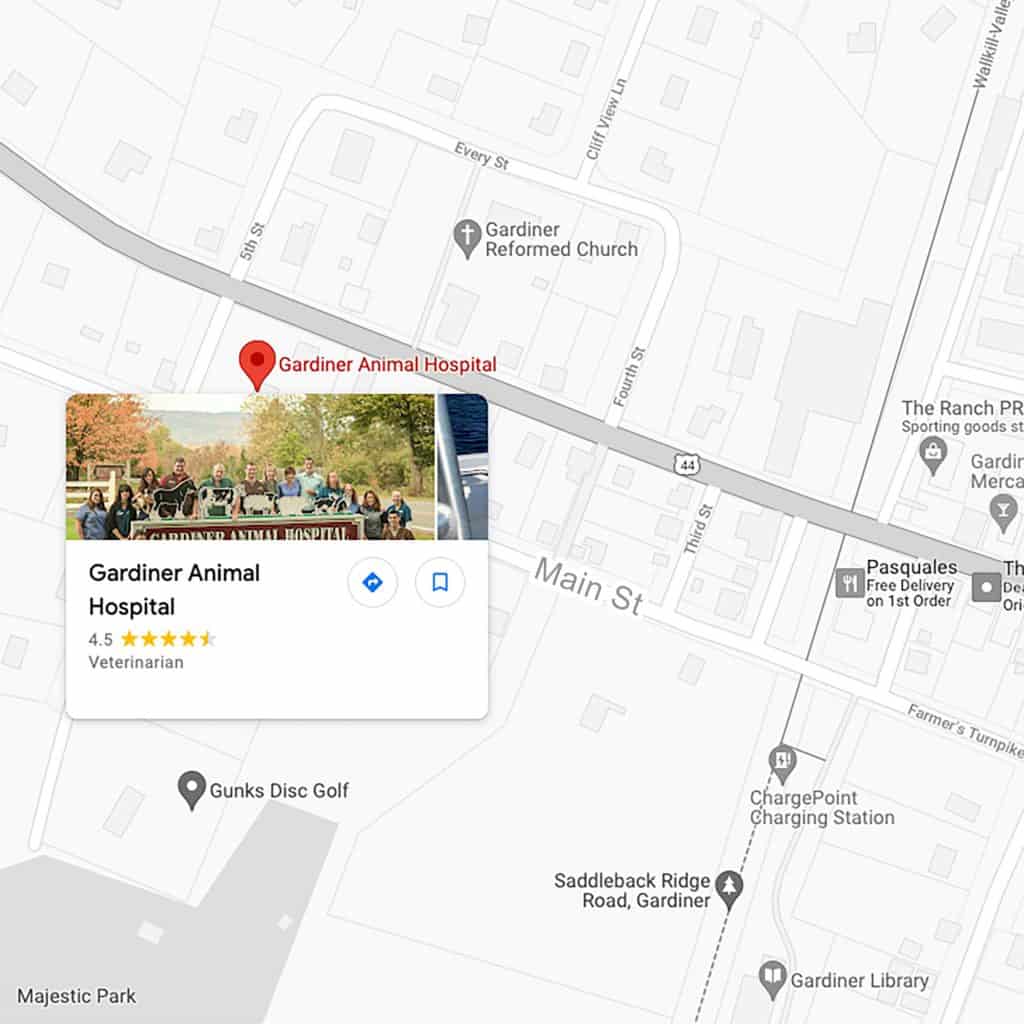 Contact Us | Gardiner Animal Hospital | Gardiner, NY